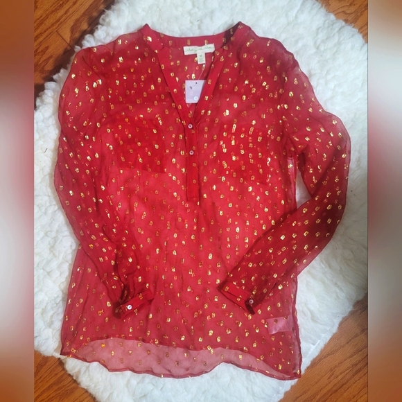 Staring at Stars | Tops | Silk Metallic Sheer Long Sleeve Blouse M ...